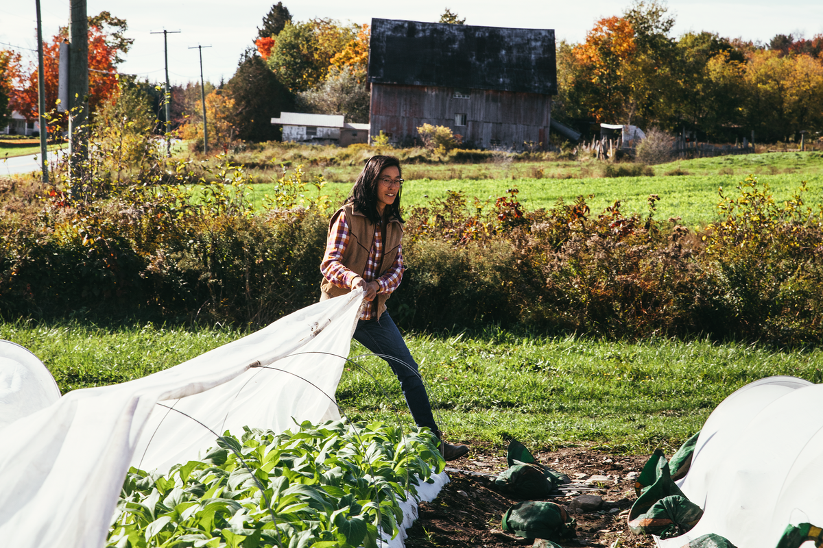 The Roots of Le Rizen – Growers & Co.