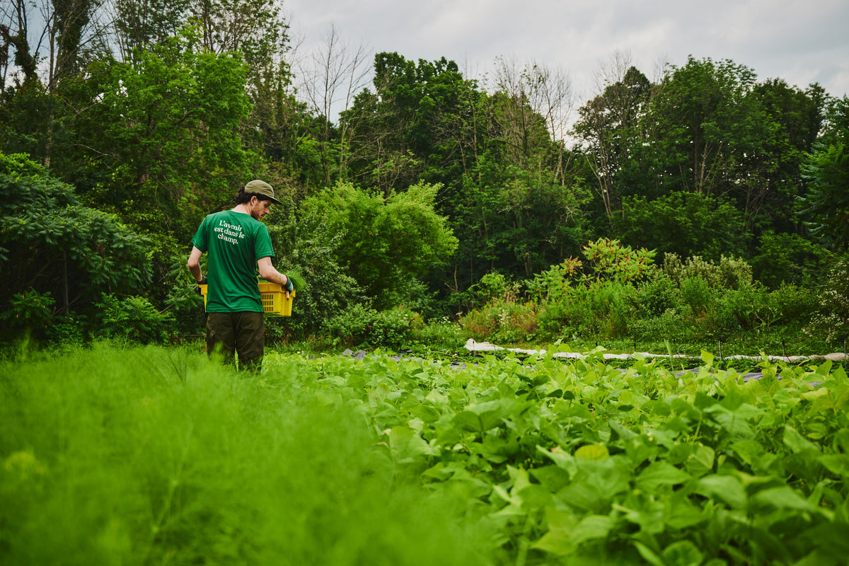 Made in Canada – Growers & Co.