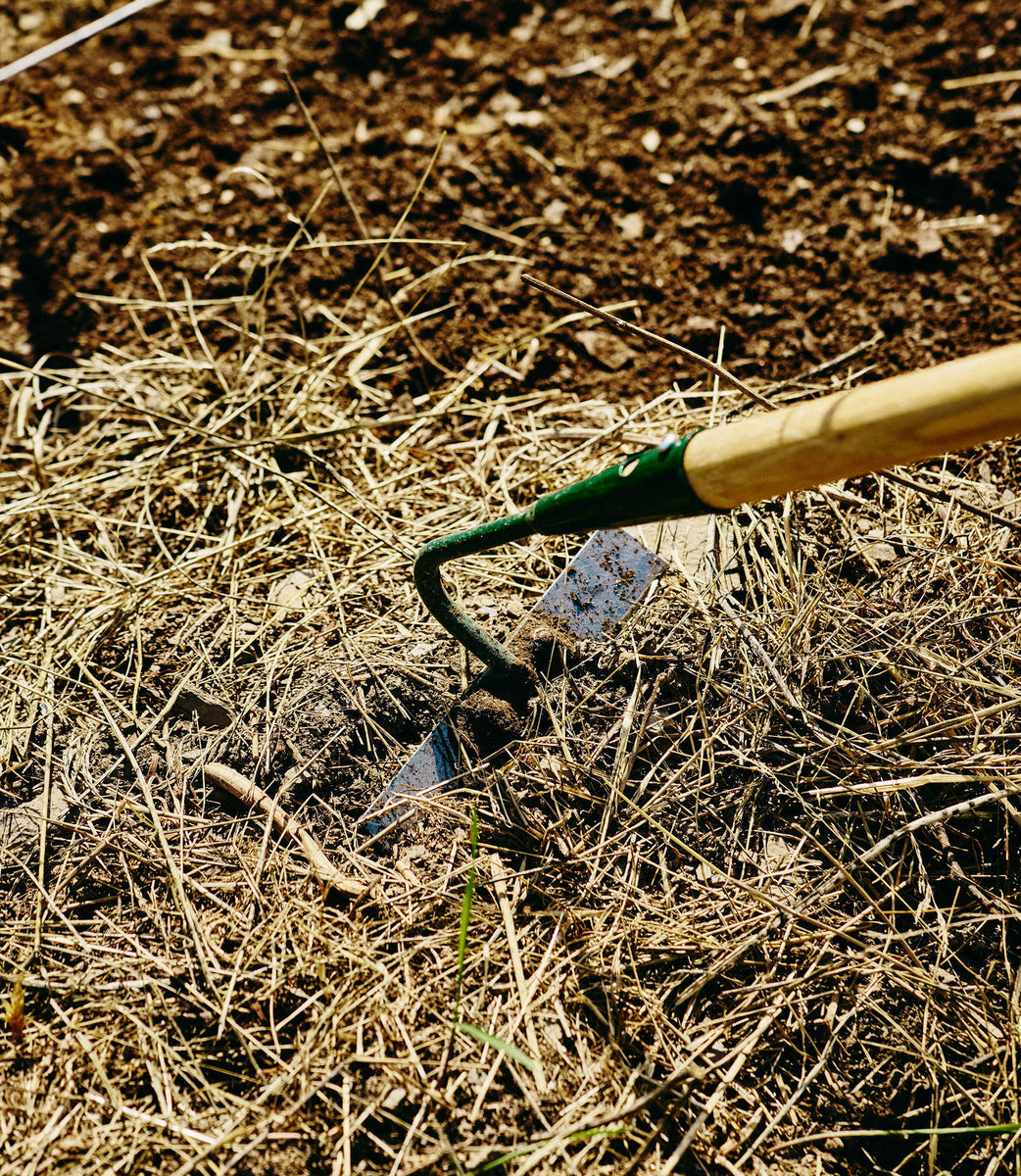 7" All-Purpose Hoe – Growers & Co.